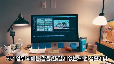 도시생활에 길들다 Youtube