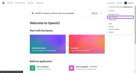 Connect ChatGPT To Google Sheets API Endpoint Tutorial Apipheny