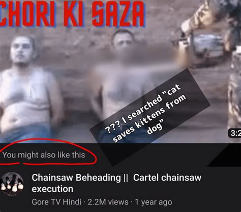 Youtube Descriptions Not Showing Ryoutube