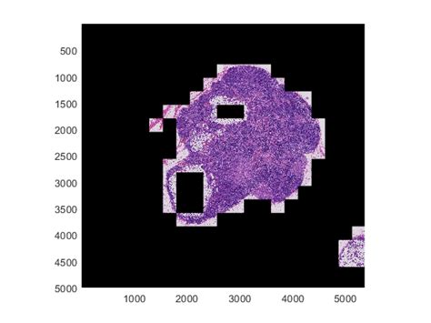 Display 2 D Blockedimage Object Matlab