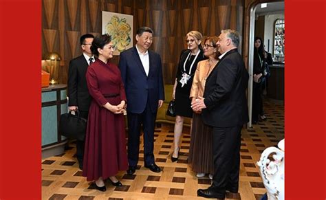 习近平对法国、塞尔维亚、匈牙利进行国事访问 中国网