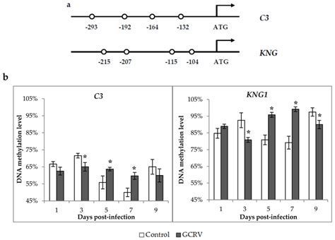 The Dna Methylation Level In The 5 Flanking Region Of C3 And Kng1 After