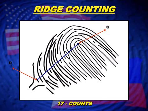 Fingerprint Classification Loop Patterns PPTX