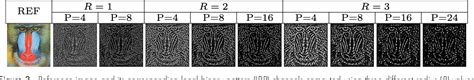 Figure 1 From Blind Image Quality Assessment Using Multiscale Local Binary Patterns Semantic