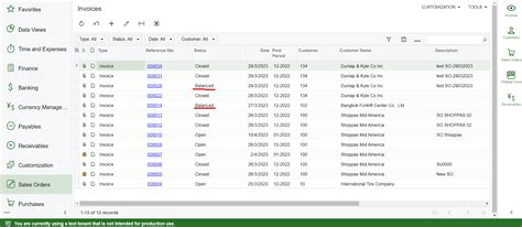 why are status balanced typed invoices reference numbers not in the