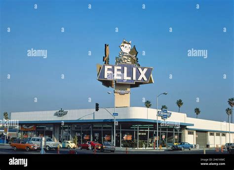 What Is Felix Chevrolet At Olivia Icely Blog