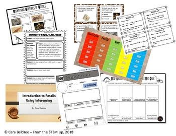 Fossils Unit Bundle Literacy And Science By Cara Baldree From The STEM Up
