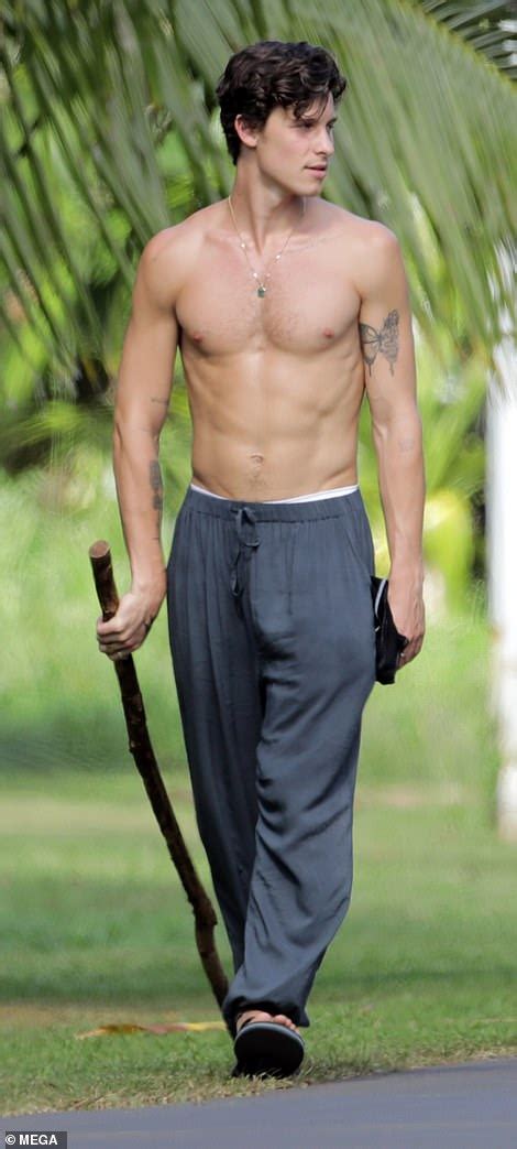 Shawn Mendes Reveals His Ripped Abs While Taking A Stroll On His