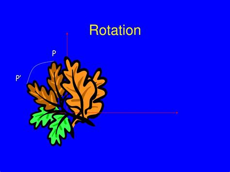 Ppt Matlab Tutorial And Linear Algebra Review Powerpoint Presentation Id 5481128