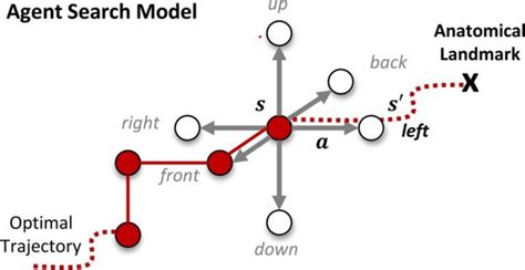 Possible Actions Of A 3d Landmarks Detection Task Courtesy Of Ghesu Download Scientific