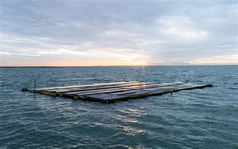 Recharge Worlds First Offshore Solar Array Rides Out Storm Ciara Off Netherlands Oceans Of
