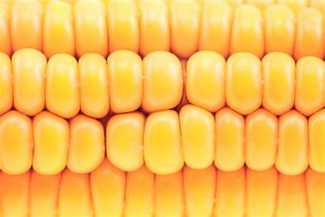 Как быстро сварить кукурузу Кукуруза Мультиварка Горшочек