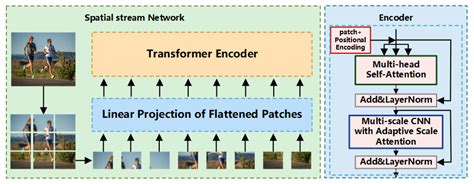 Human Action Recognition Based On 3d Convolution And Multi Attention Transformer