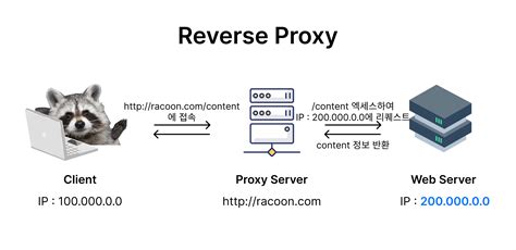 reverse proxy 과연 무엇일까요
