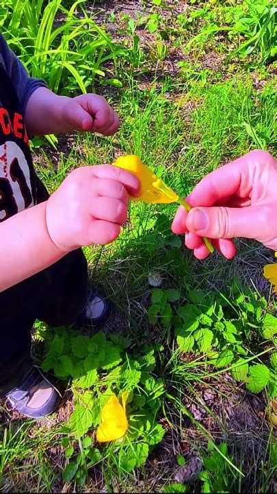 Reverse Videos 😀🙃😀 Asmr Youtube