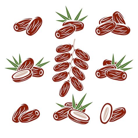 Premium Vector Dates Fruit Set Vector Premium Vector Dates Fruit Set Vector