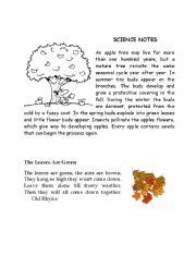 Science Note About Trees ESL Worksheet By Andy21