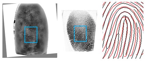 C2cl Contact To Contactless Fingerprint Matching Deepai