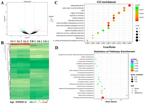 Joint Qtl Mapping And Transcriptome Sequencing Analysis Reveal
