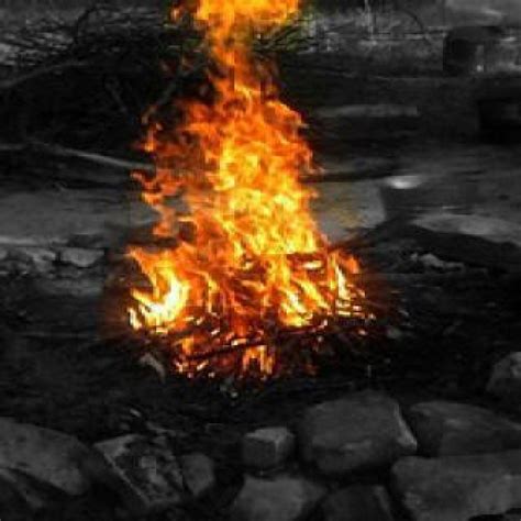 Fire Object Detection Model By Wildfire