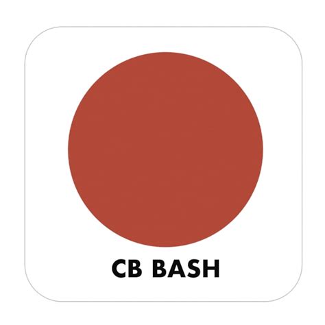 Color Baggage Project Paint Satin Bash Acrylic Interiorexterior Door Color Baggage Project Paint Satin Bash Acrylic Interiorexterior Door