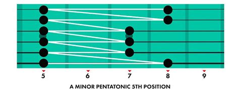 ۵ گام اساسی گیتار برای مبتدی‌ها گیتار ایران