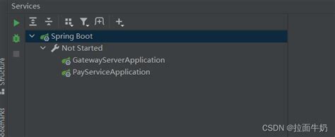 开启services工具窗口管理多个spring boot项目 manage multiple spring boot run