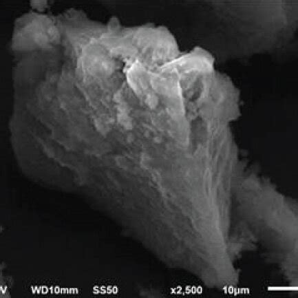 A B SEM Micrographs And C D SEM EDX Elemental Microanalysis For Download Scientific