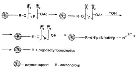 Solid Phase Synthesis And Automation