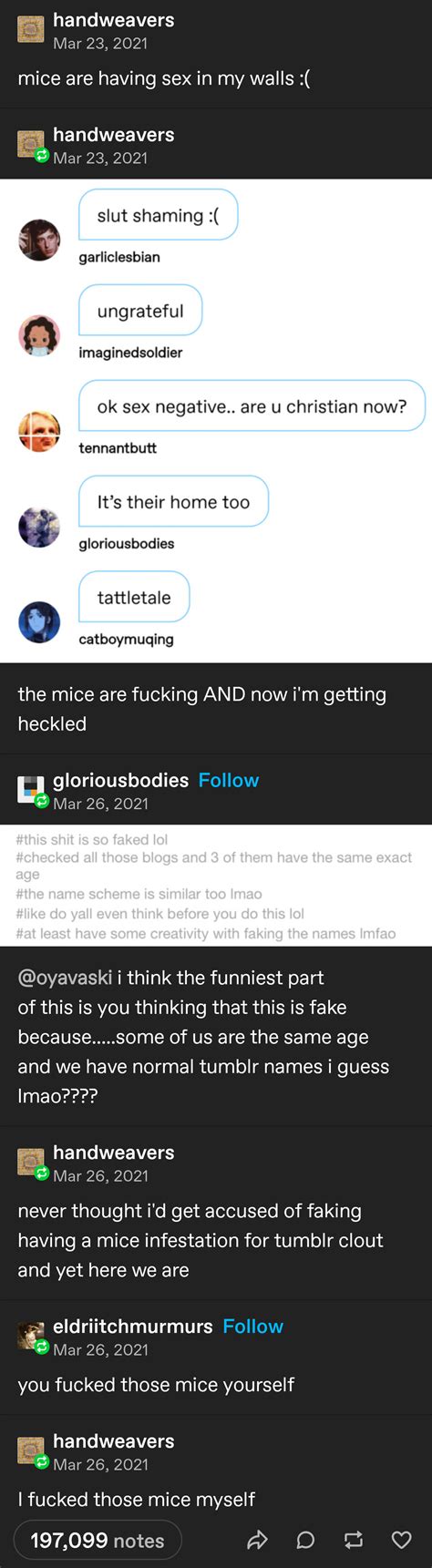 Rat Sex Cw Christianity Bashing Rcuratedtumblr