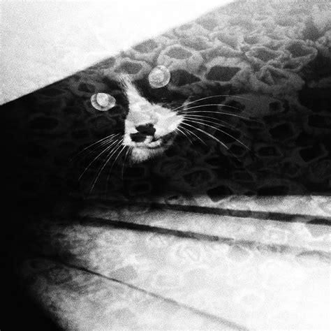 Tt027 Mrs Dink Evil Greg Tandem Tapes