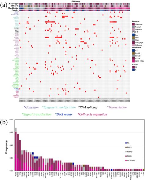 The Genomic Architecture Of Mds A Distribution Of Mutations In 125