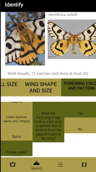 New Release Pnw Moths A Free Android App For Moth Identification