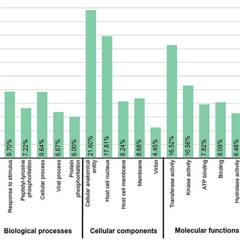 Quantification In Individual Percentages Of The Viral Gene Functions Download Scientific