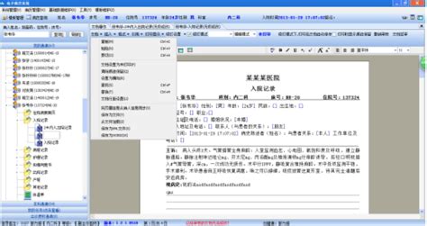 电子病历系统（emr）