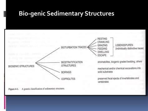 Sedimentary Structures Group Presentation Ppt Sedimentary Structures Group Presentation Ppt