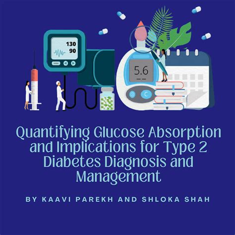 quantifying glucose absorption and implications for type 2 diabetes