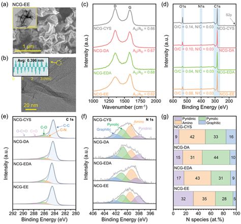 A SEM Inset TEM Image Scale Bar Nm And B HRTEM Images Of Download Scientific Diagram