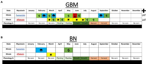 Frontiers Gradient Boosting And Bayesian Network Machine Learning Models Predict Aflatoxin And