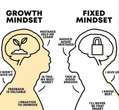 Sayed Maqsod Hashimi On Linkedin A Growth Mindset Believes That Abilities And Intelligence Can