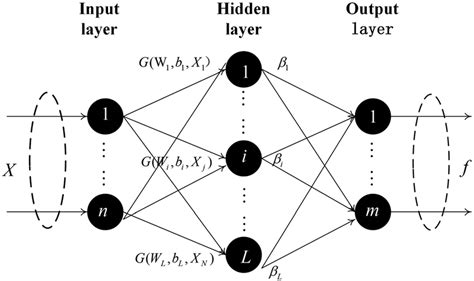 single hidden layer feedforward network download scientific diagram
