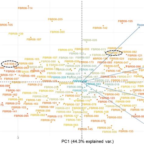 pca biplot graph of pc1 vs pc2 for autoscaled and centered data for
