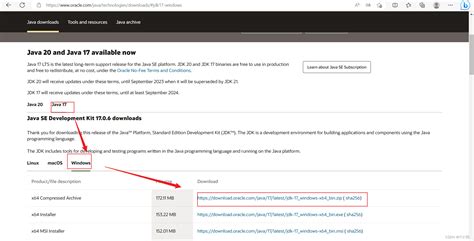 Jdk安装与配置超级详细教程包含二个或多个jdk的同时安装java脚本之家