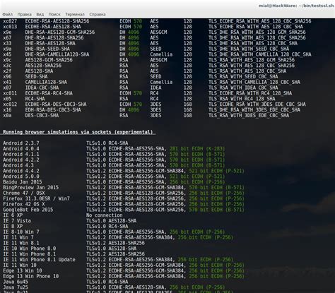 Testsslsh Инструменты Kali Linux