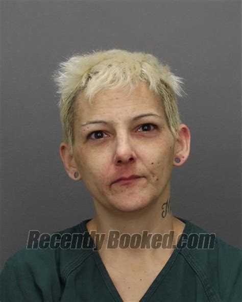 Recent Booking Mugshot For Tara L Devault In Salem County New Jersey