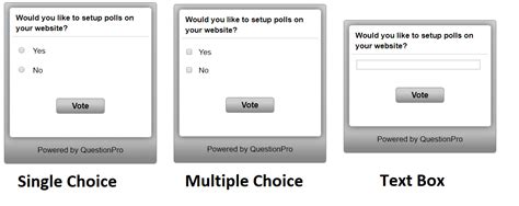 Create A Poll Questionpro