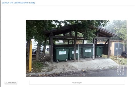Дететкция мусора Object Detection Dataset And Pre Trained Model By Elbrus Bootcamp