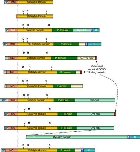 7 Continued Comparison Between ESPs And ISPs A The First Six Download Scientific