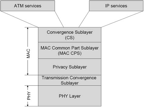 Ieee 80216 Protocol Architecture Download Scientific Diagram