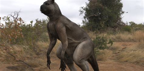 Procoptodon Spiritual Meaning And Symbolism